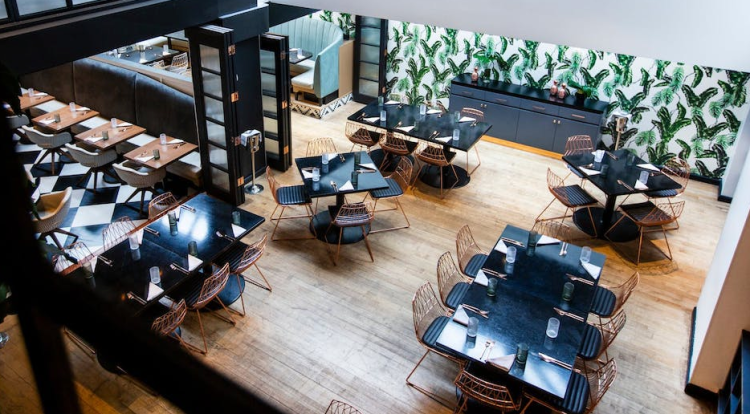 12 Top Best Restaurants in Toronto Downtown - Canada Tourist